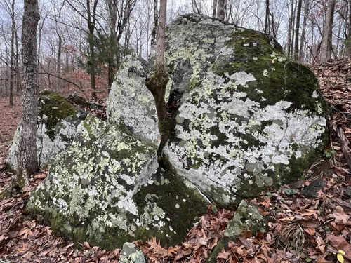 Best Hikes and Trails in Chewacla State Park | AllTrails