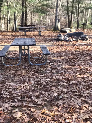 Best Hikes and Trails in Salt Rock State Park | AllTrails