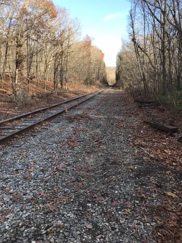 Best Hikes and Trails in Salt Rock State Park | AllTrails