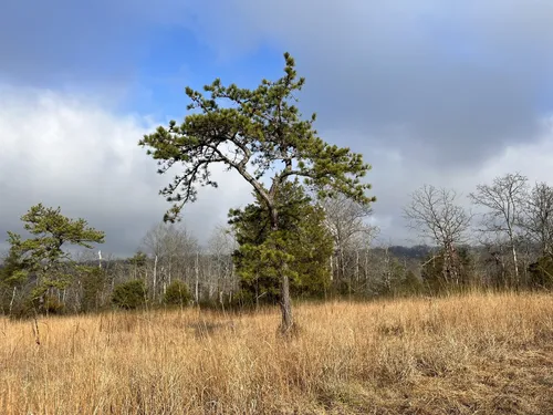 Best Hikes and Trails in Nottingham County Park | AllTrails