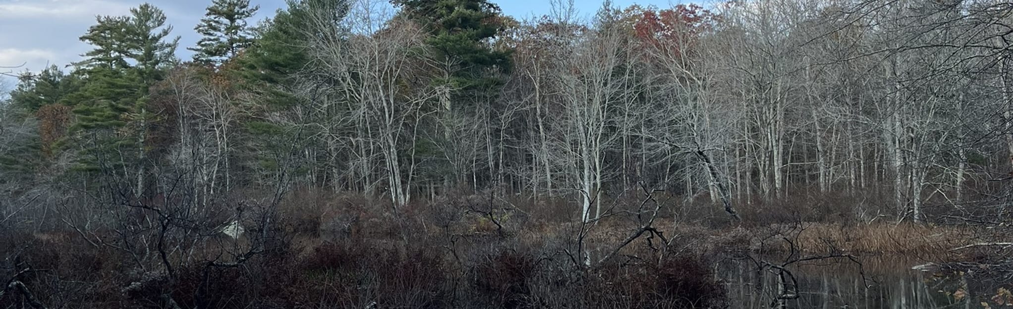 Stepstone Falls via Ben Utter Trail, Rhode Island - 1,429 Reviews, Map ...