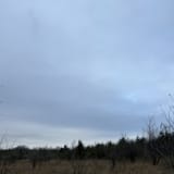 Loree Forest Loop, Ontario, Canada - 1,290 Reviews, Map | AllTrails