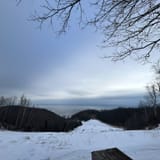 Loree Forest Loop, Ontario, Canada - 1,290 Reviews, Map | AllTrails