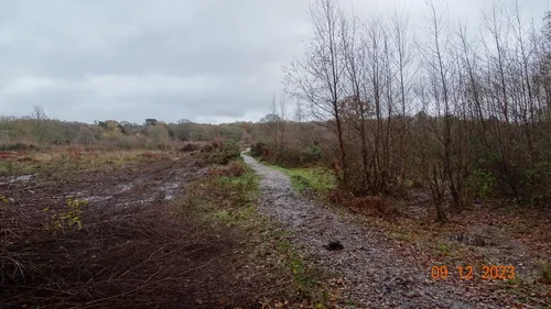 Best Hikes and Trails in Hothfield Common Nature Reserve | AllTrails