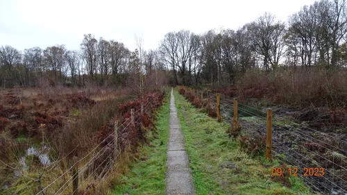 Best Hikes and Trails in Hothfield Common Nature Reserve | AllTrails