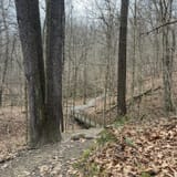 Salt Run, Ohio - 1,174 Reviews, Map | AllTrails