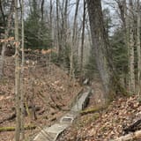 Salt Run, Ohio - 1,174 Reviews, Map | AllTrails