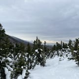 Stowe Pinnacle Trail, Vermont - 2,236 Reviews, Map | AllTrails