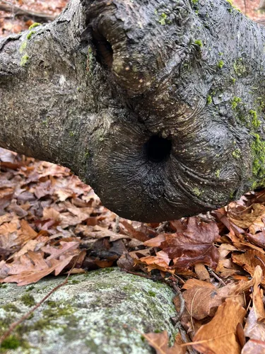 Best Hikes and Trails in Fishkill | AllTrails