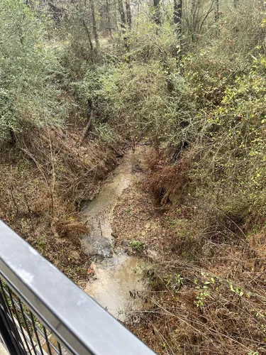 Best Hikes and Trails in Canton | AllTrails