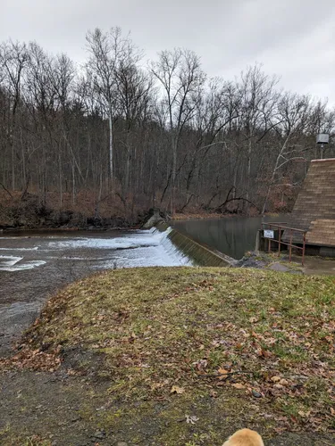 Best Hikes and Trails in Fall Creek Valley Natural Area | AllTrails