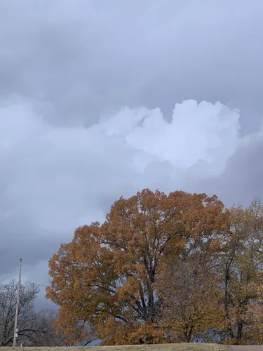 Best Hikes and Trails in Conger Park | AllTrails