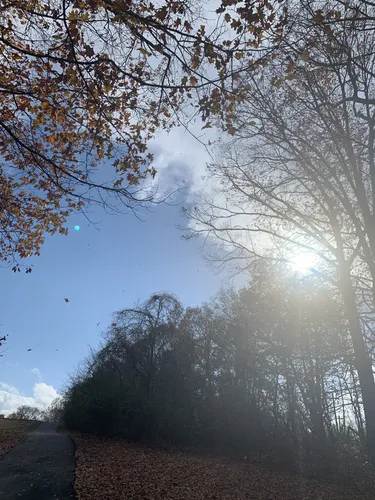 Best Hikes and Trails in Conger Park | AllTrails