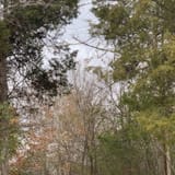 Conger Park Loop, Mississippi - 15 Reviews, Map | AllTrails