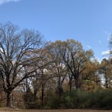 Conger Park Loop, Mississippi - 15 Reviews, Map | AllTrails