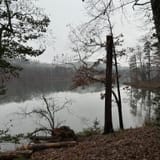 Dam Road, Issaqueena, Rocky and Collarbone Trail, South Carolina ...