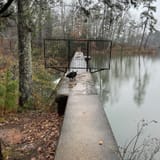 Dam Road, Issaqueena, Rocky and Collarbone Trail, South Carolina ...