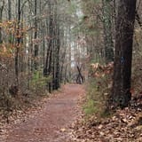 Iron Hill Loop, Georgia - 4,632 Reviews, Map | AllTrails