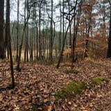 Iron Hill Loop, Georgia - 4,632 Reviews, Map | AllTrails