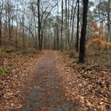 Iron Hill Loop, Georgia - 4,632 Reviews, Map | AllTrails