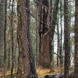 Iron Hill Loop, Georgia - 4,632 Reviews, Map | AllTrails