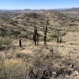 Dixie Mountain Loop Trail, Arizona - 3,104 Reviews, Map | AllTrails