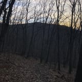 Fishkill Ridge Loop via Overlook and Fishkill Ridge Trail, New York ...