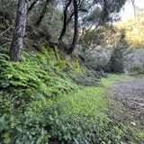Old Flume Trail (Red Shack Trail), California - 772 Reviews, Map ...