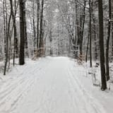 Mer Bleue Conservation Area Loop, Ontario, Canada - 954 Reviews, Map ...