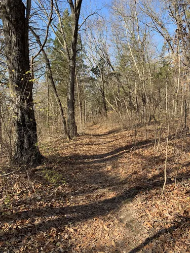 Best Hikes and Trails in Dr. Edmund A. Babler Memorial State Park ...