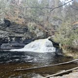 Hackers Falls and Cliff Trail Loop, Pennsylvania - 1,757 Reviews, Map ...
