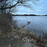 Sippo Lake Trail, Ohio - 716 Reviews, Map | AllTrails