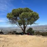 Wisdom Tree, Cahuenga Peak and Mount Lee Summit Loop, California ...