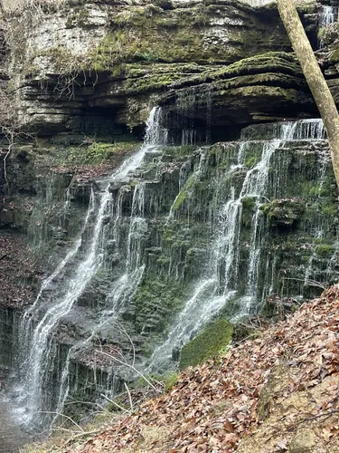 Best Hikes and Trails in Short Springs State Natural Area | AllTrails