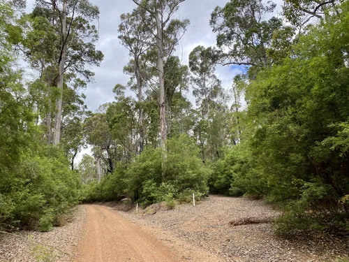 Best Hikes and Trails in Shannon National Park | AllTrails