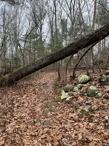 Best Hikes and Trails in Bradner Preserve | AllTrails