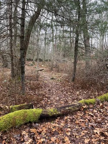 Best Hikes and Trails in Bradner Preserve | AllTrails