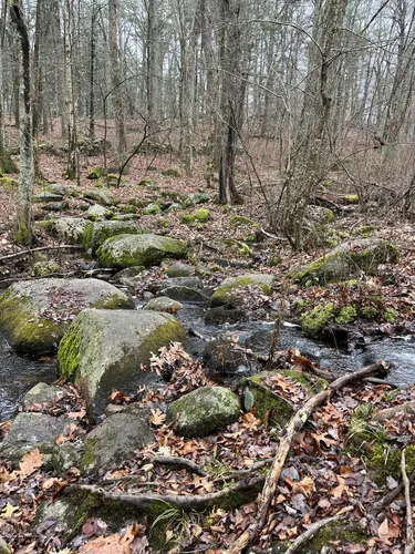 Best Hikes and Trails in Bradner Preserve | AllTrails