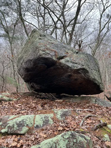 Best Hikes and Trails in Bradner Preserve | AllTrails