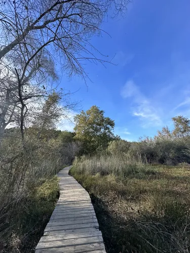 Best Mountain Biking Trails in Fallbrook | AllTrails