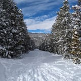 Tallman Ranch via Bridge Creek Trailhead, Colorado - 459 Reviews, Map ...