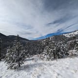 Tallman Ranch via Bridge Creek Trailhead, Colorado - 459 Reviews, Map ...