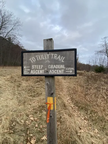 Best Forest Trails in Orange | AllTrails