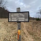 Tully Mountain Loop Trail, Massachusetts - 451 Reviews, Map | AllTrails
