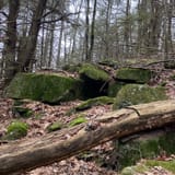 Tully Mountain Loop Trail, Massachusetts - 451 Reviews, Map | AllTrails