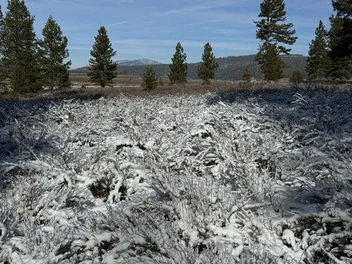 Best Hikes and Trails in Martis Creek Lake National Recreation Area ...