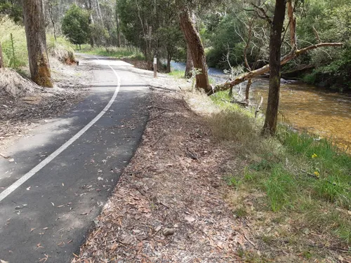 Best Hikes and Trails in Smoko Streamside Reserve | AllTrails