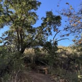 Mount Gower Open Space Preserve Trail, California - 1,080 Reviews, Map ...