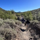 Slate Trail, Arizona - 481 Reviews, Map | AllTrails