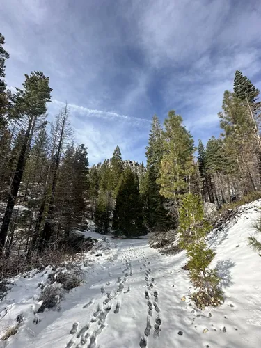 Best Rock Climbing Trails in Kyburz | AllTrails